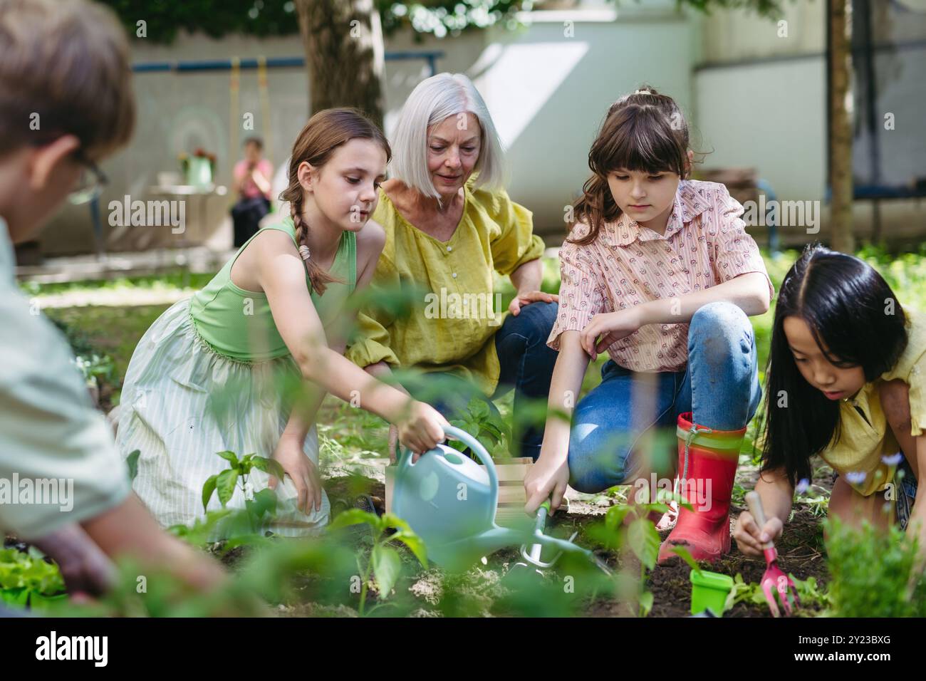 Young kids taking care of plants in school garden during at outdoor ...