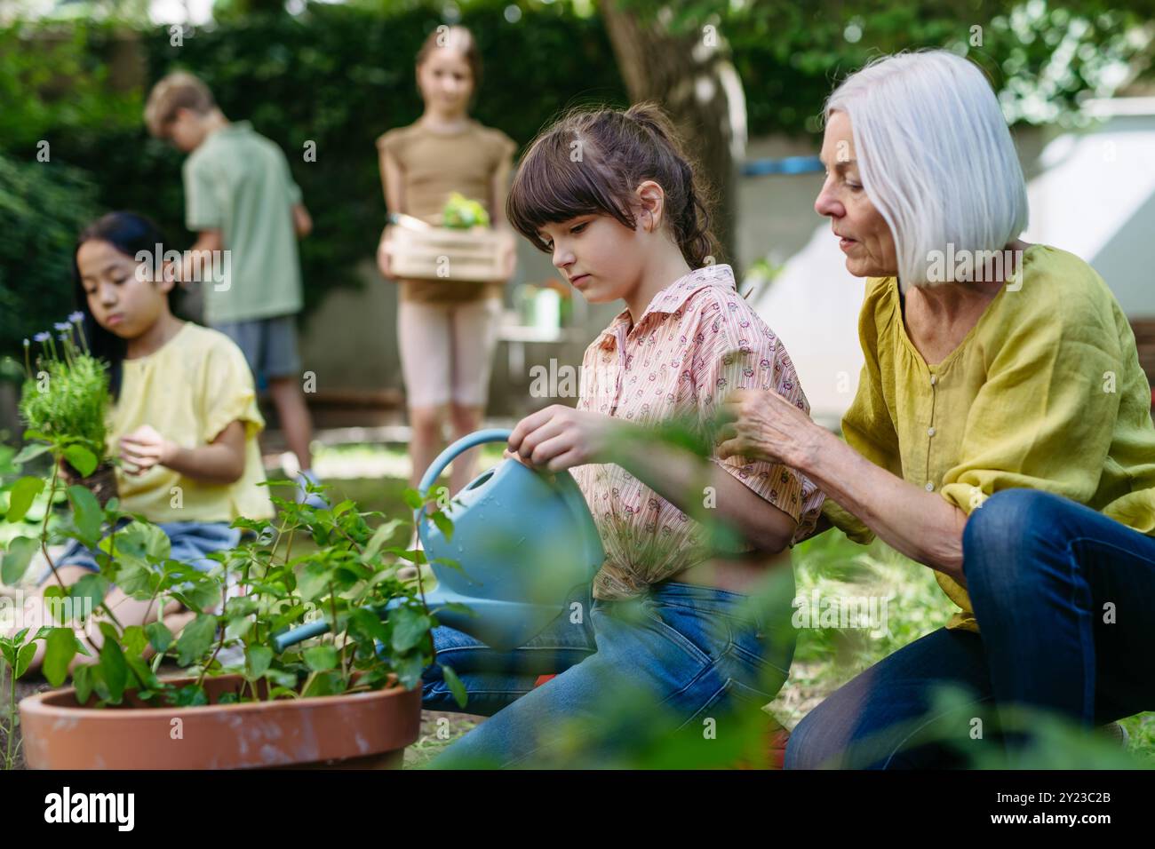 Young kids taking care of plants in school garden during at outdoor ...