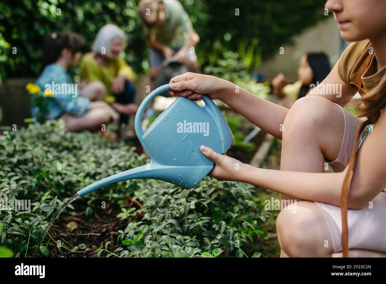 Schoolgirl watering plants in school garden during at outdoor ...