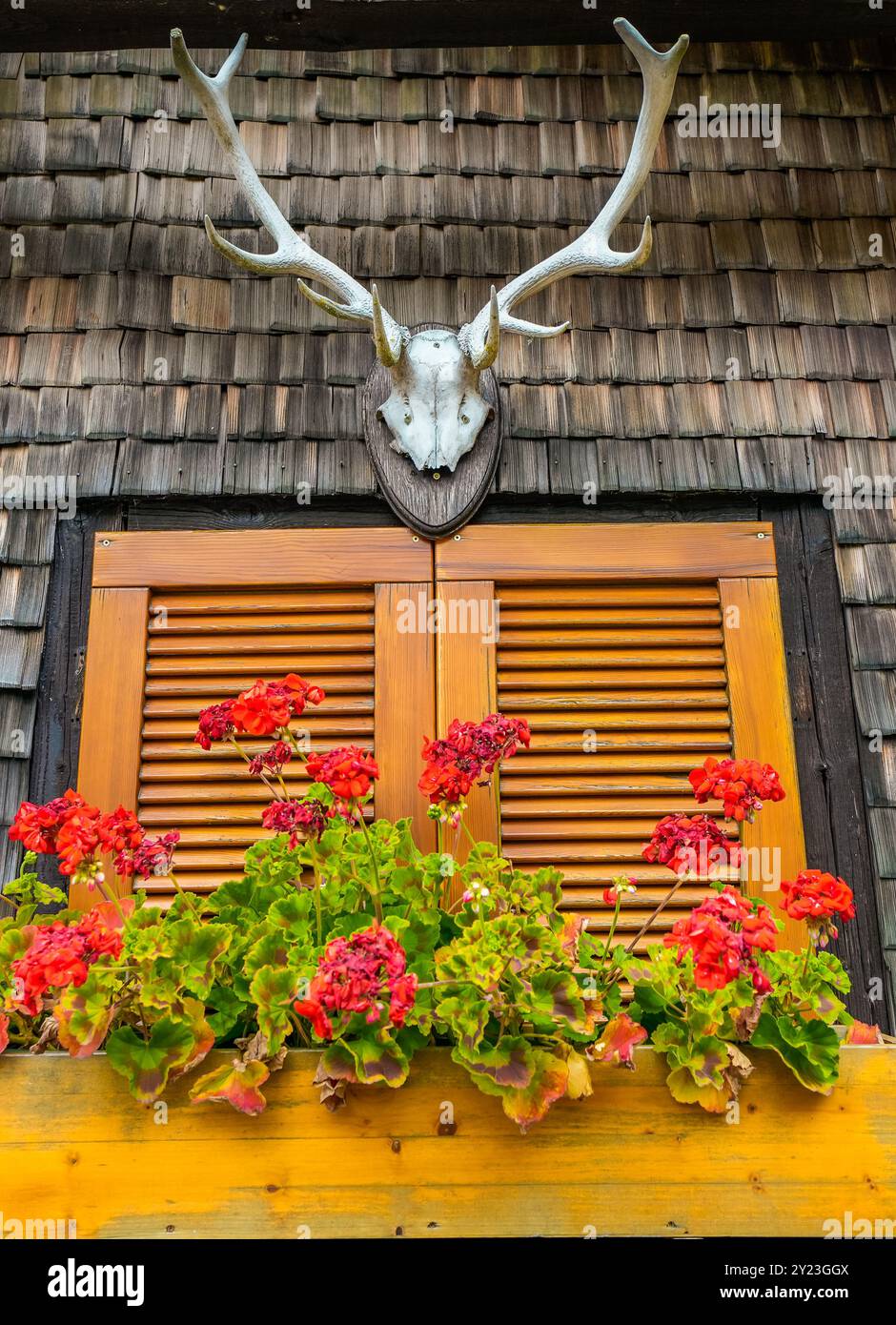 Traditional german wooden house hi-res stock photography and images - Alamy