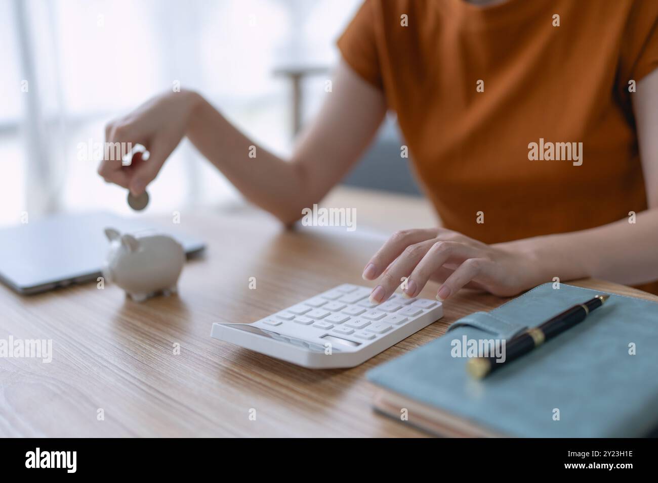 woman creates a detailed financial saving plan using a calculator to ...