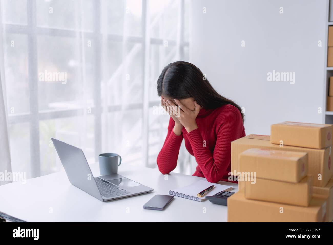 woman online seller, struggles to achieve her goals, facing challenges ...