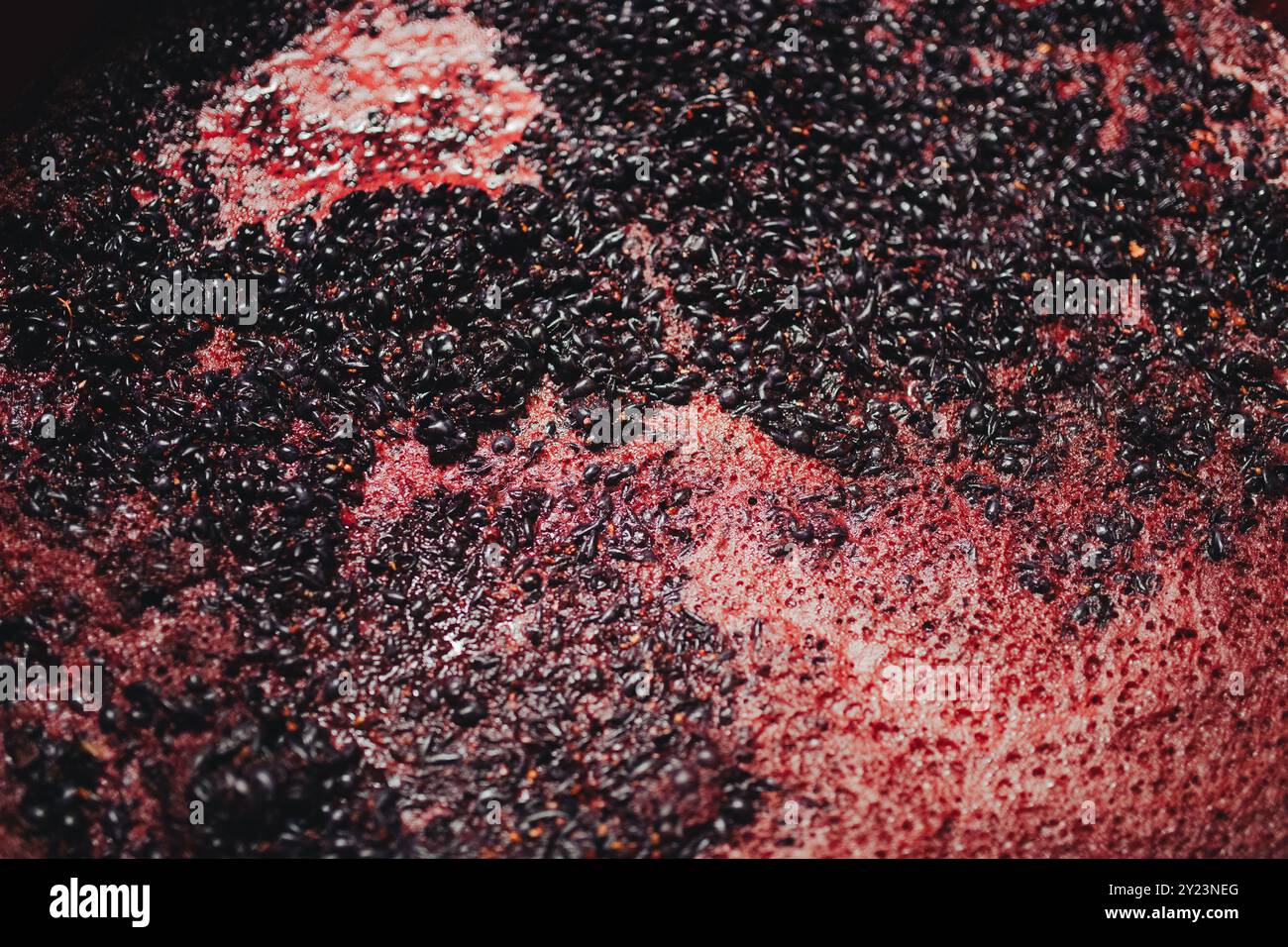 Container with crushed grapes in early stage of fermentation. Grape ...
