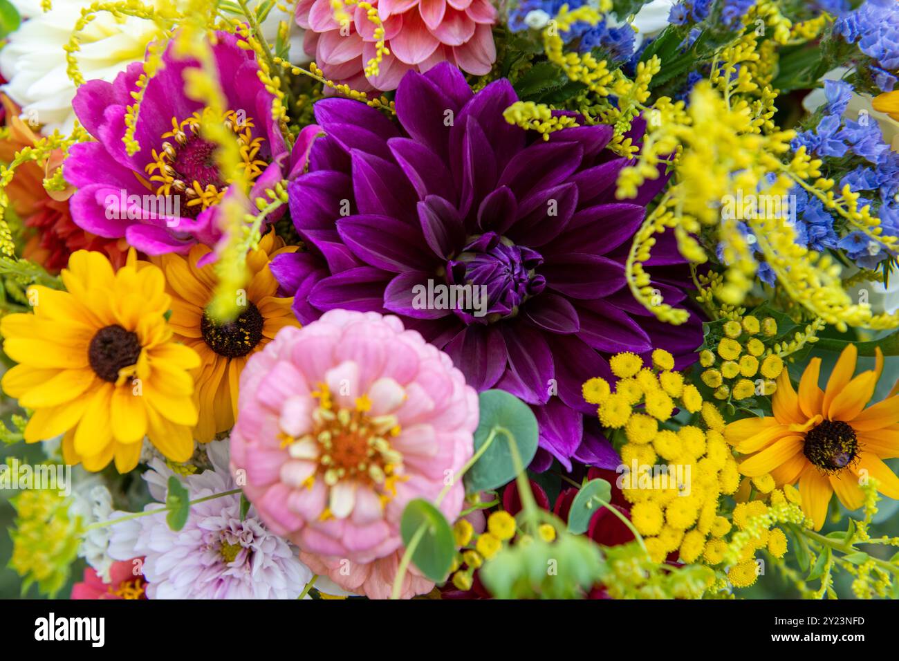 Summer bouquet. Beautiful multi colored fresh flower arrangement ...