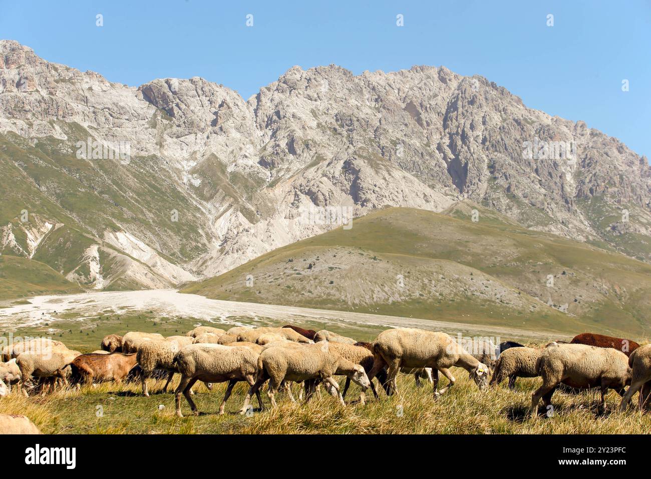 Altopiano campo imperatore hi-res stock photography and images - Alamy