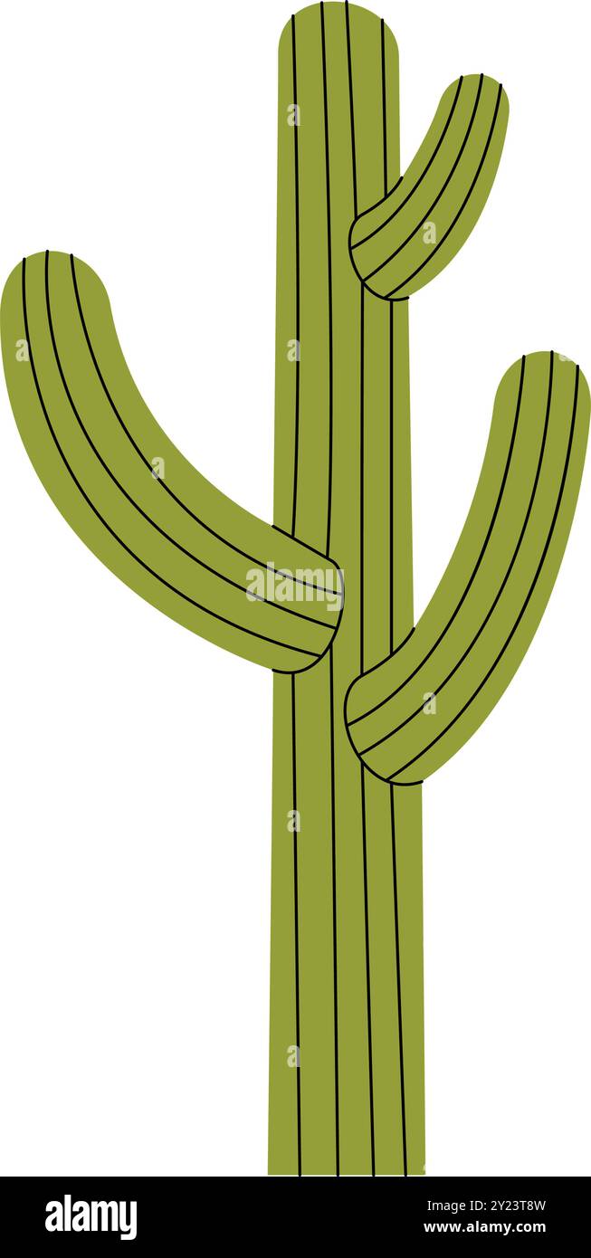 Cactus, cacti. Desert plants. Vector illustration Stock Vector Image ...