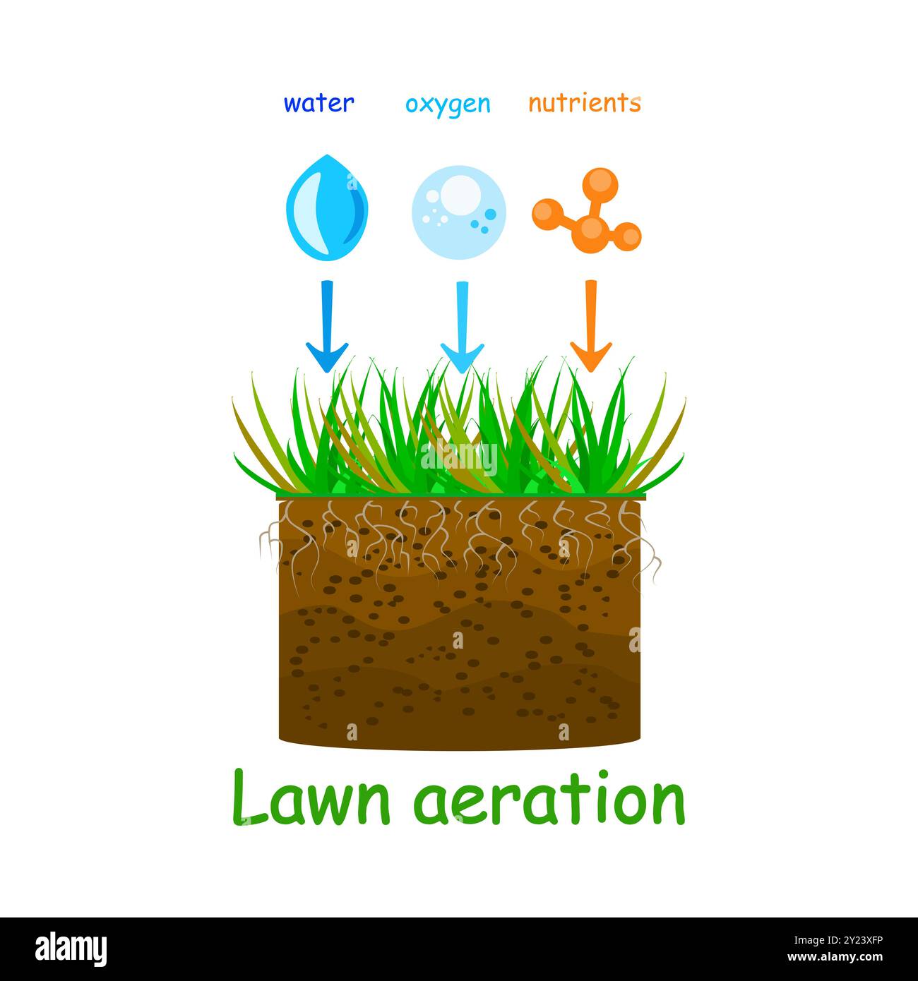 Lawn aeration.Lawn aeration stage.Water, oxygen, air, nutrients and ...