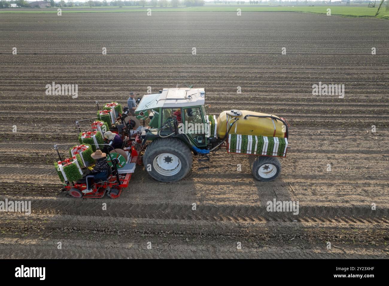 Aerial view of tractor planting tomato seedlings in vast field ...