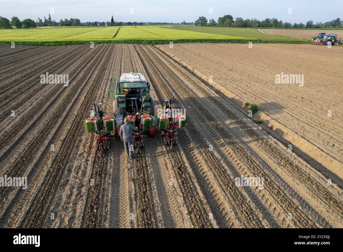 Aerial view of tractor planting tomato seedlings in vast field ...