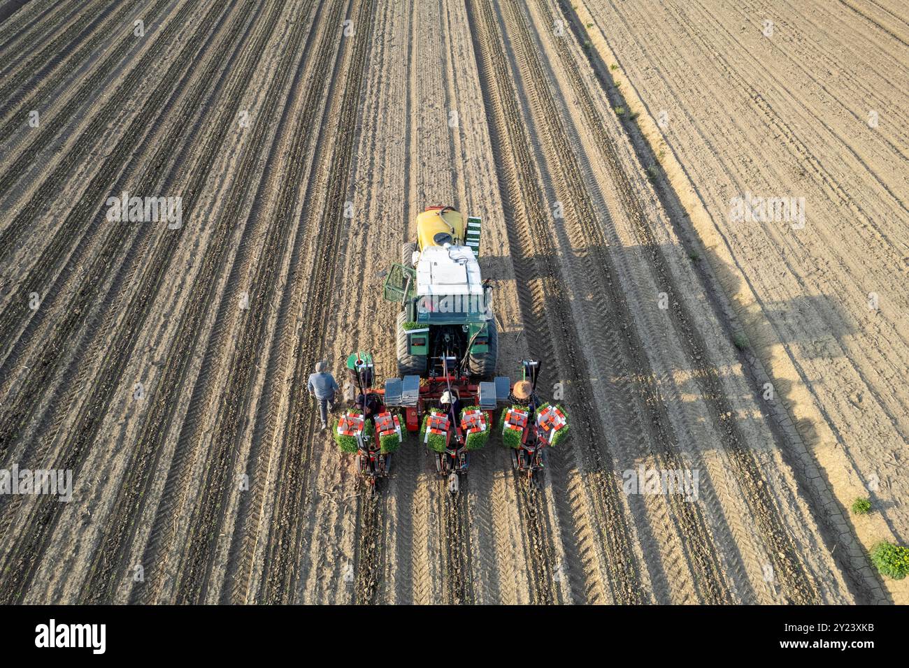 Aerial view of tractor planting tomato seedlings in vast field ...