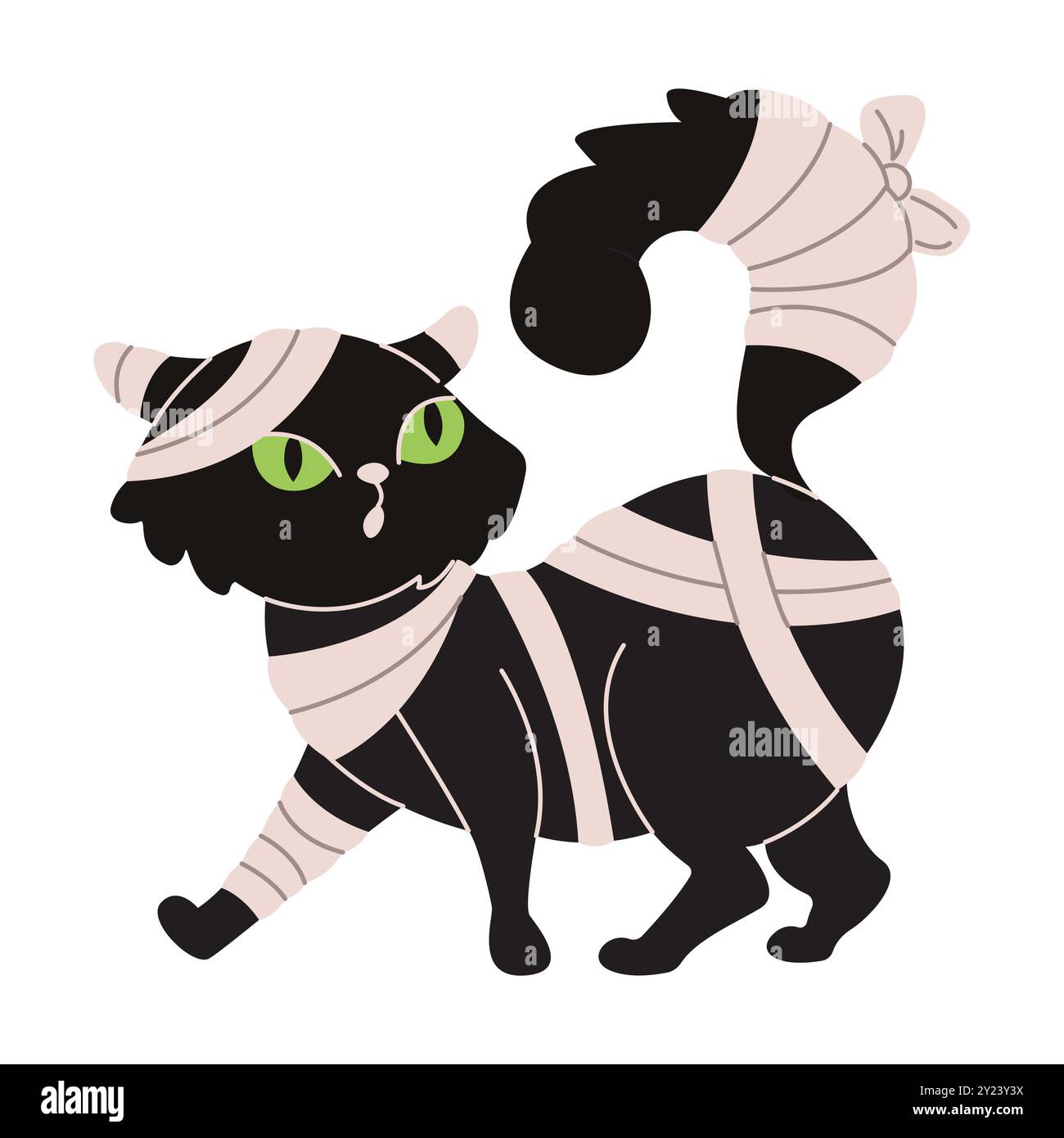 Mummy Cat Costume
