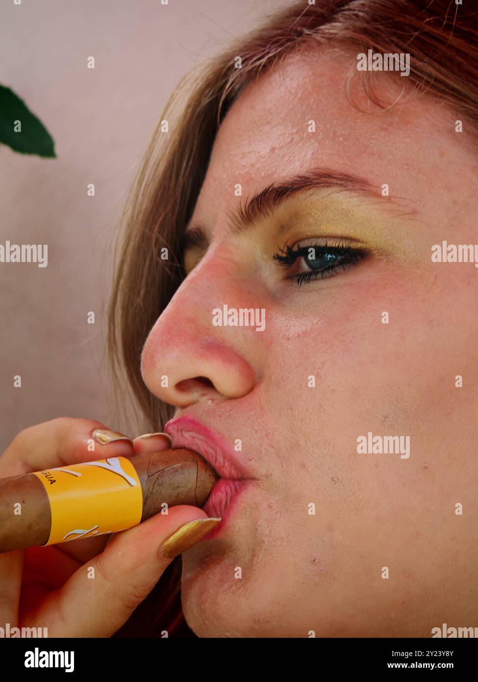 the smoking of cigars, cause of drug and nicotine addiction smoking of ...