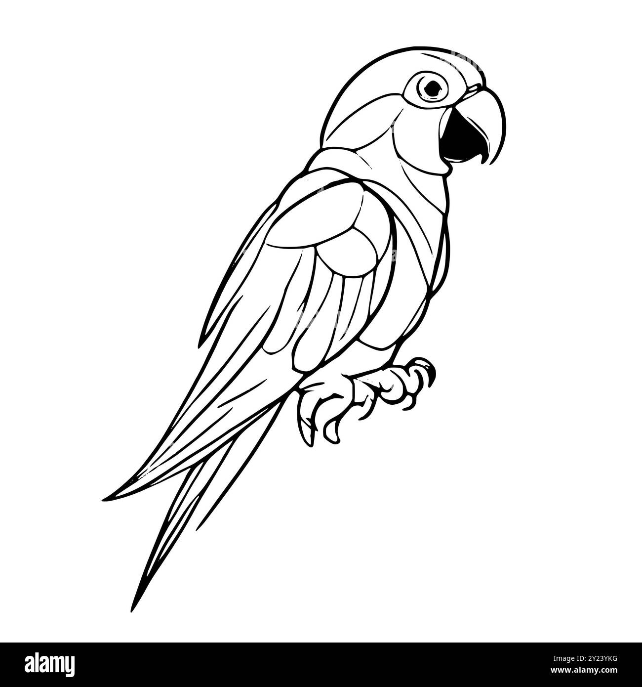 Educational animal illustrations Black and White Stock Photos & Images ...