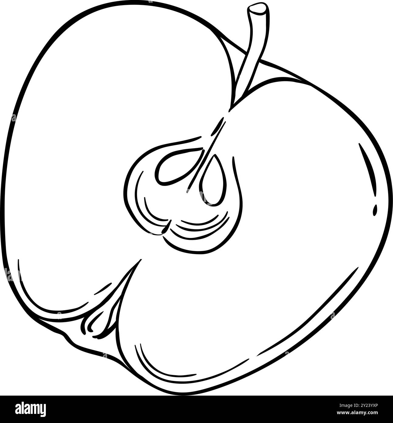 Apple Fruit Isolated Outline Illustration Stock Vector Image & Art - Alamy