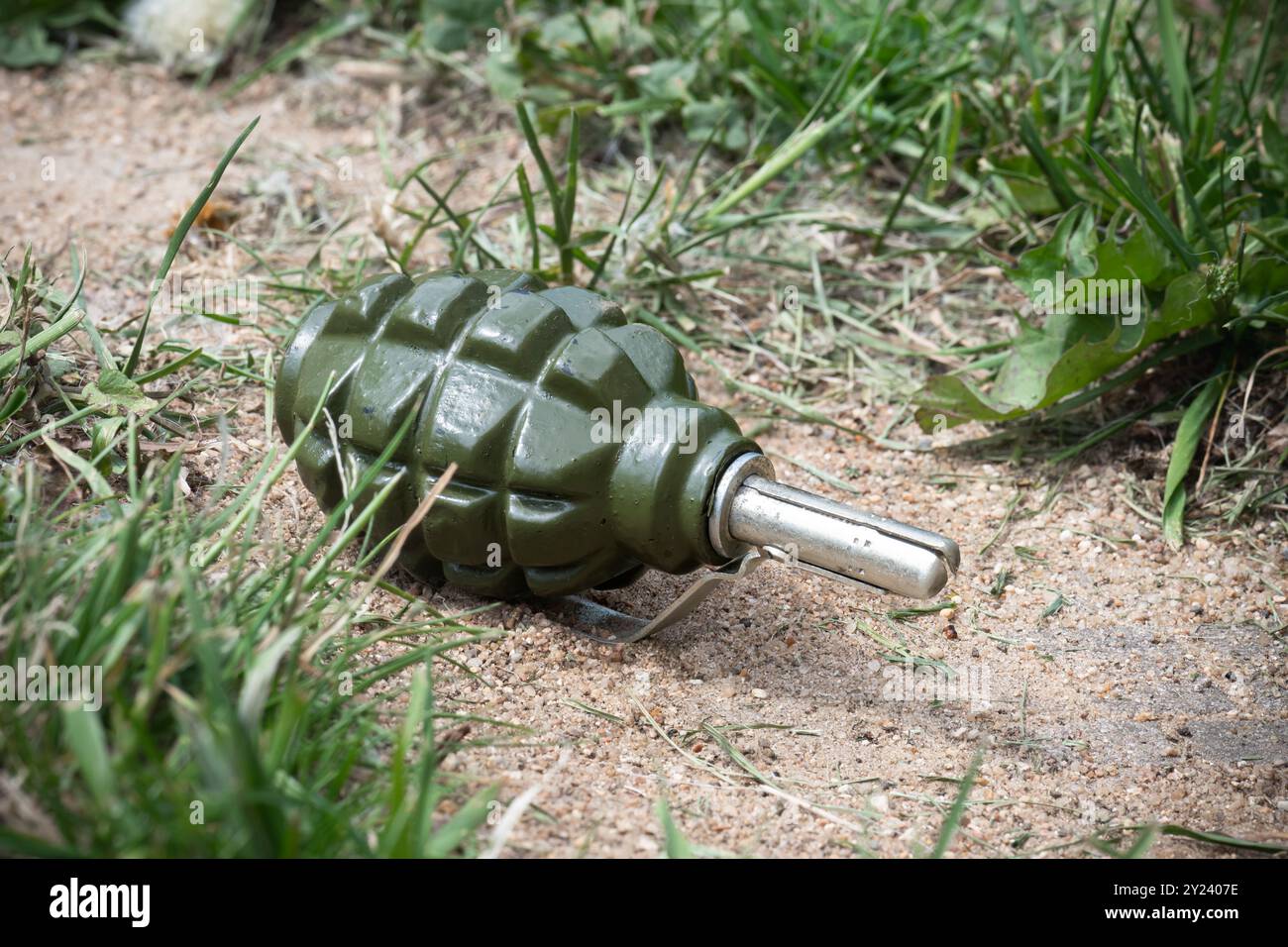 Booby Trap Landmine made from hand grenade installed on the ground not ...