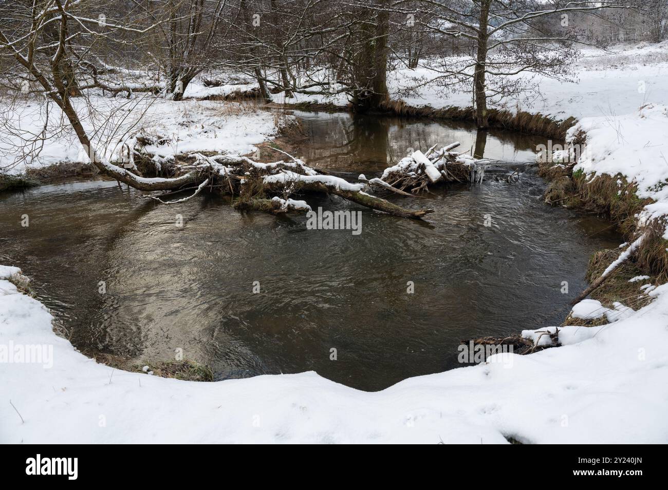 Little Dam built by beavers, damming a small body of water with wood ...
