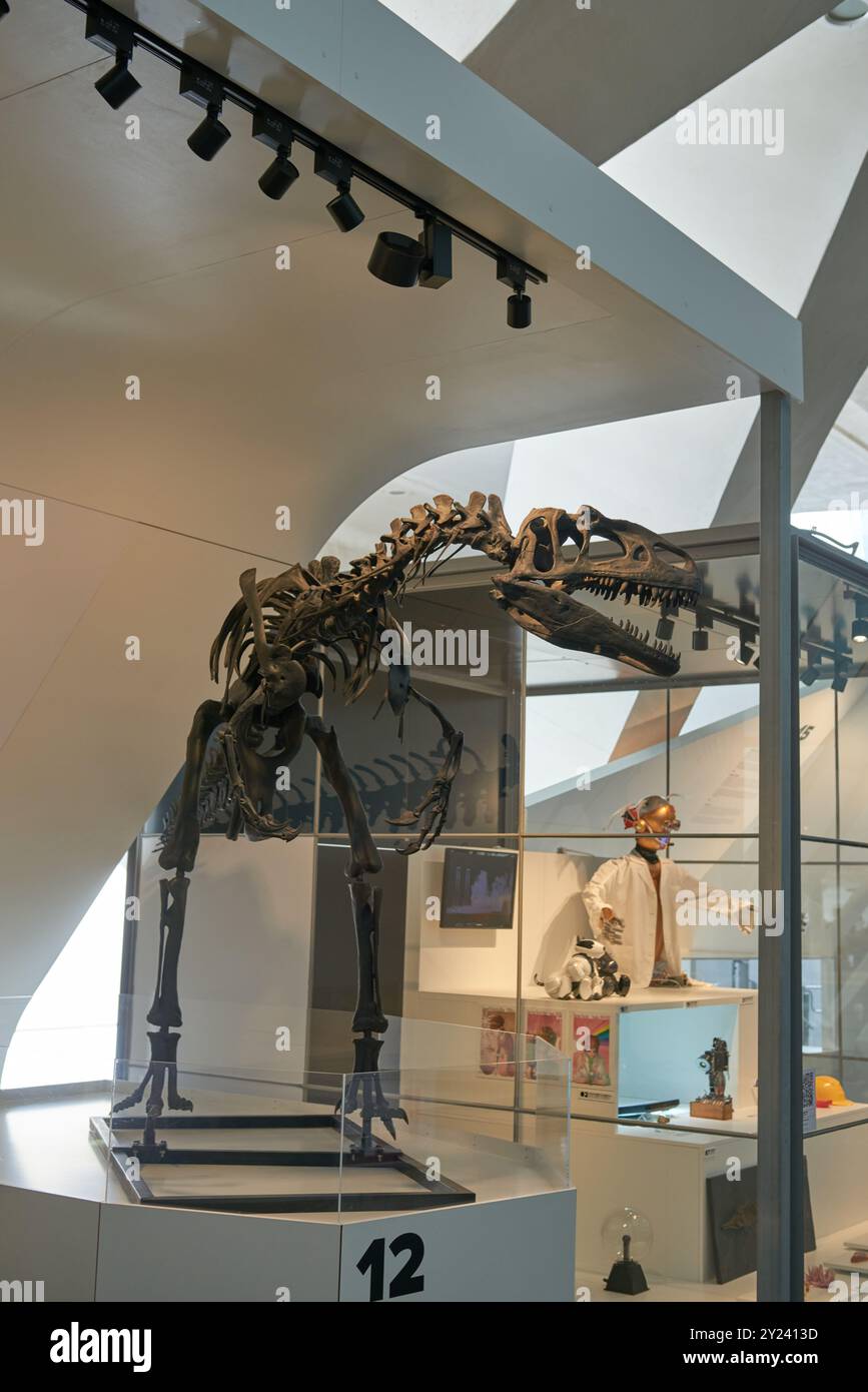 Awe-Inspiring Carnivorous Dinosaur Skeleton Towering in Natural History ...