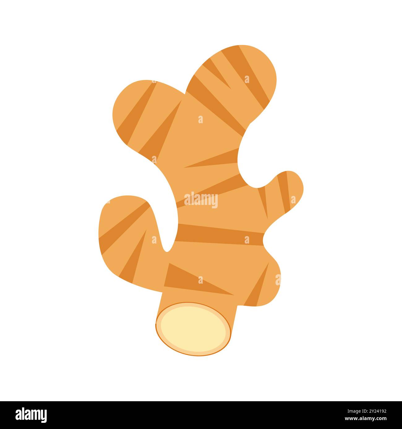 Natural Organic Vegetable Ginger, Healthy Vector Green Food Stock ...