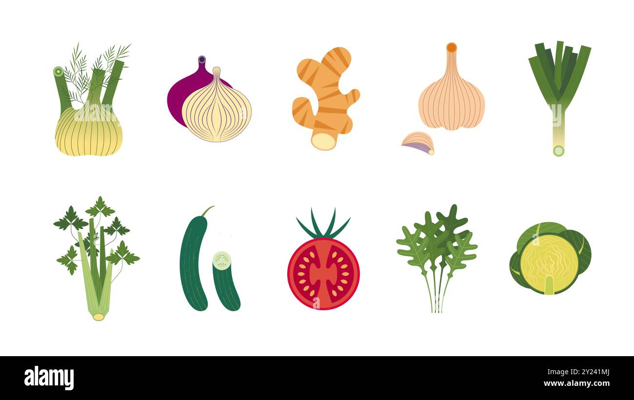 collection of Natural Organic Vegetables, Healthy Vector Green Foods ...