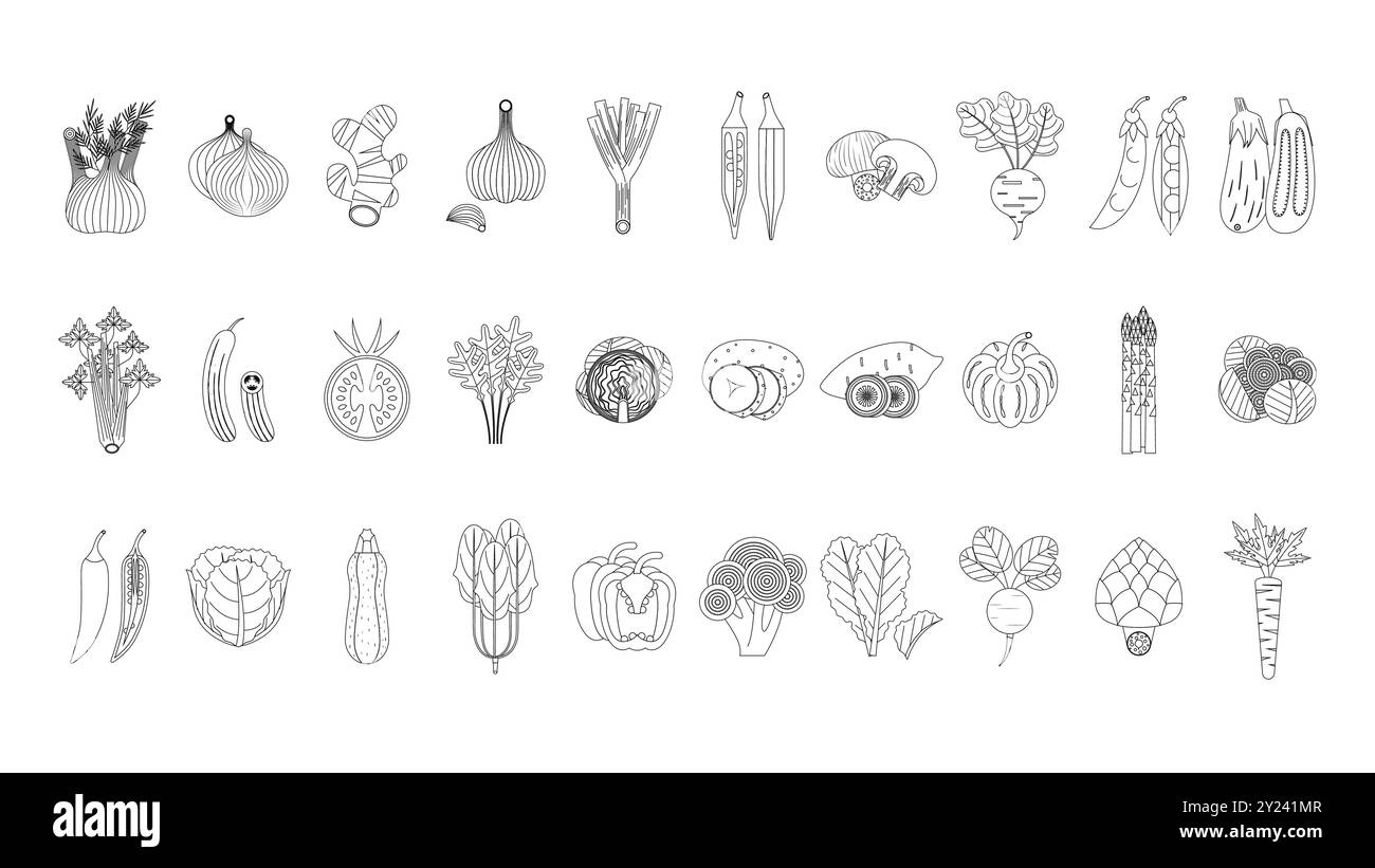 Line Art Organic Vegetables Collection, Natural Healthy Vector Green ...