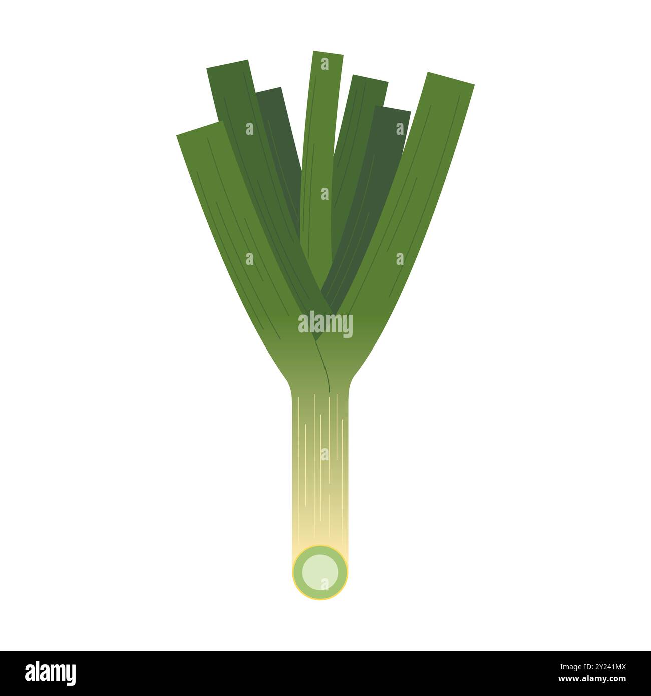 Natural organic vegetable leek, healthy vector green food Stock Vector ...
