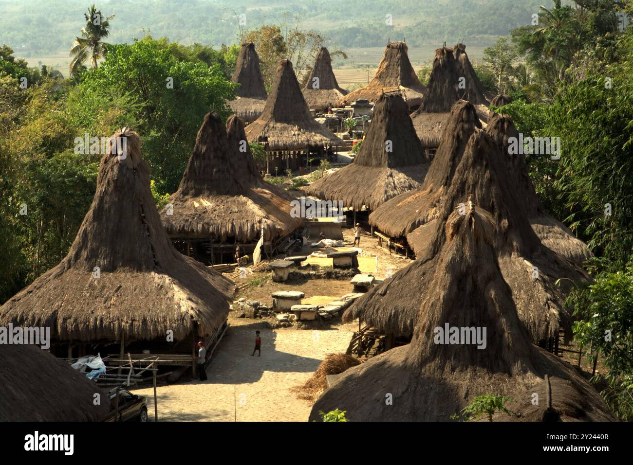 Sumbanese traditional houses in the traditional village of Praijing in ...
