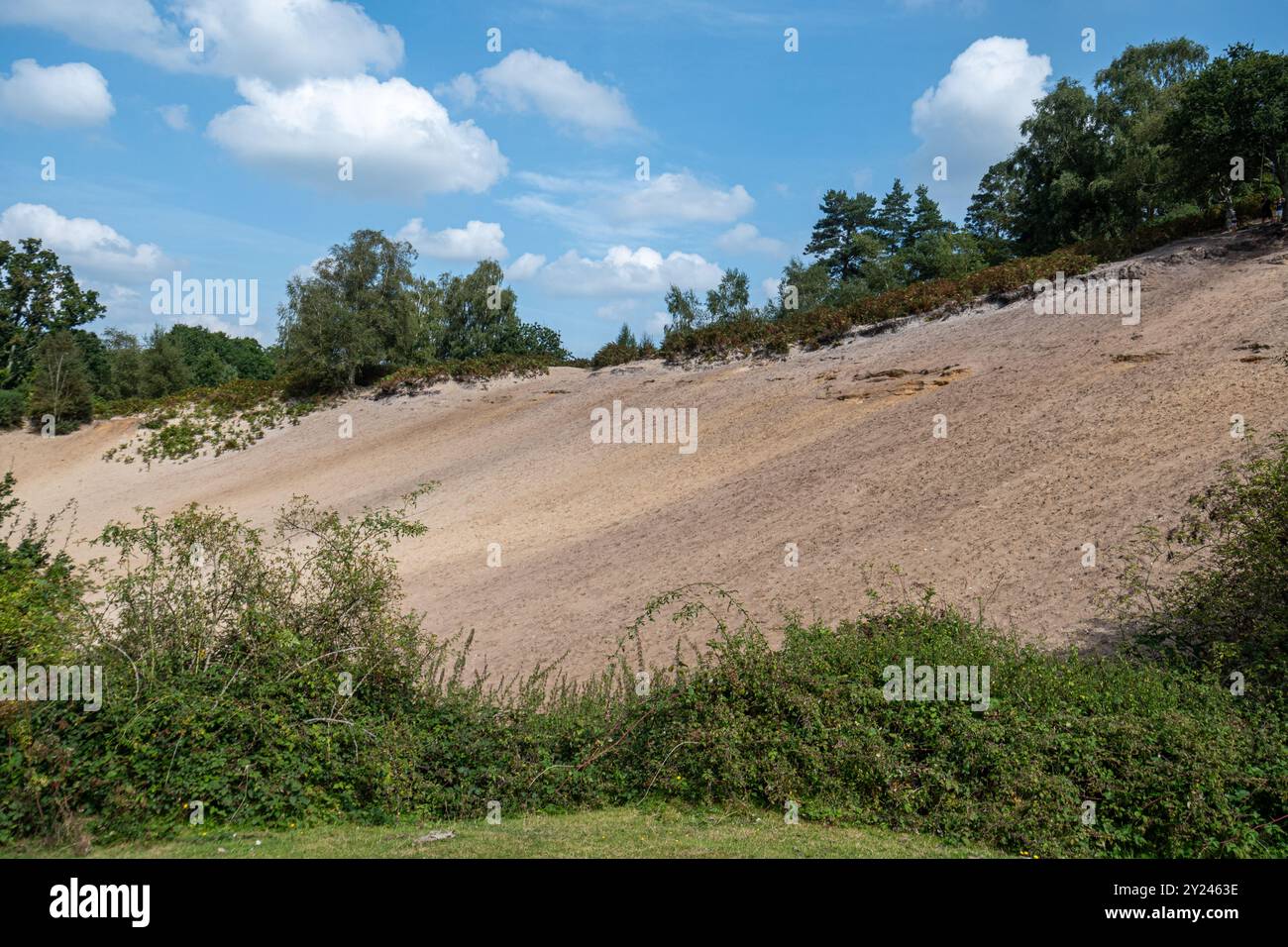 Disused sand pit at Rockford Common in the New Forest, Hampshire ...