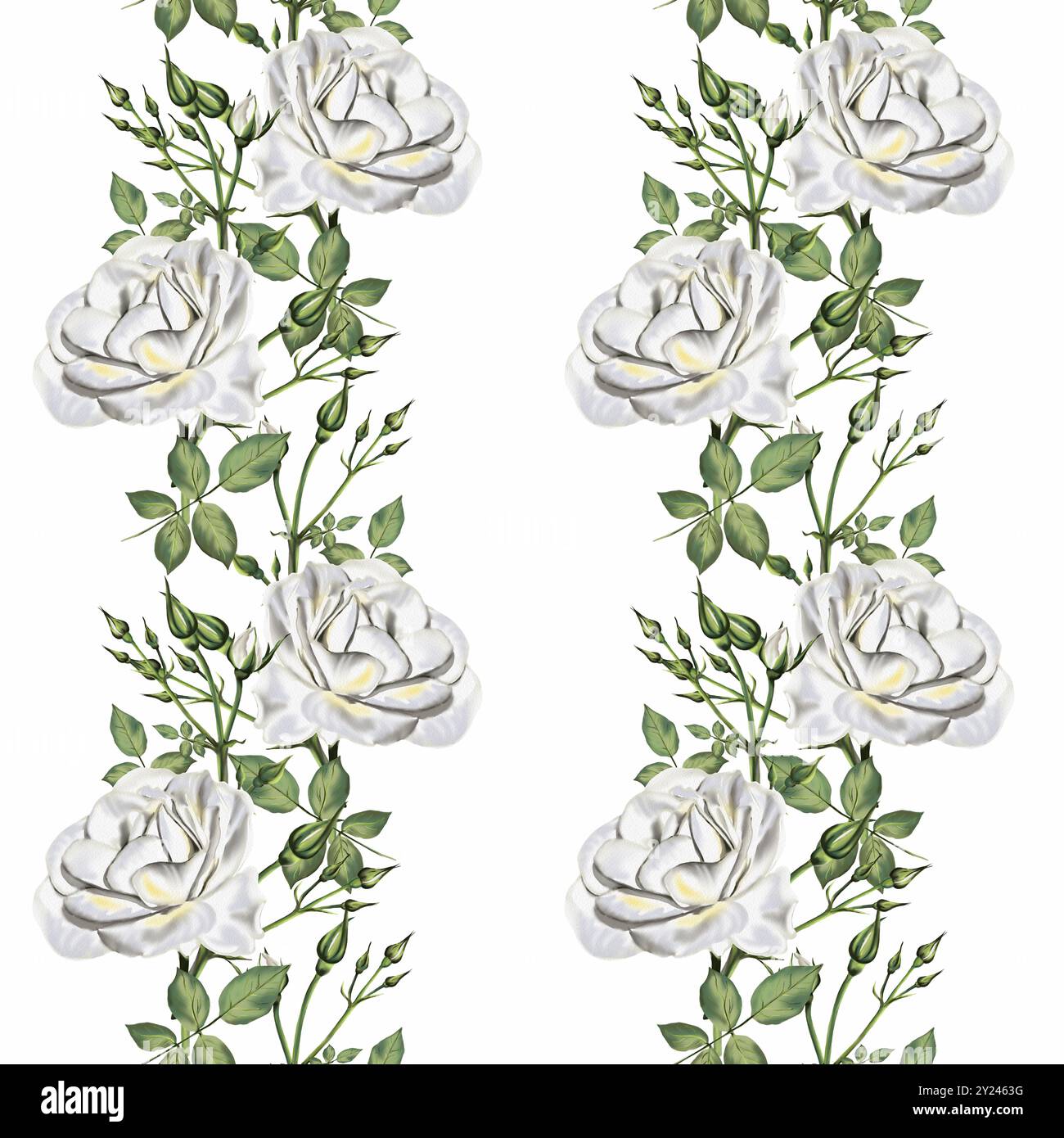White rose petals top view Cut Out Stock Images & Pictures - Alamy