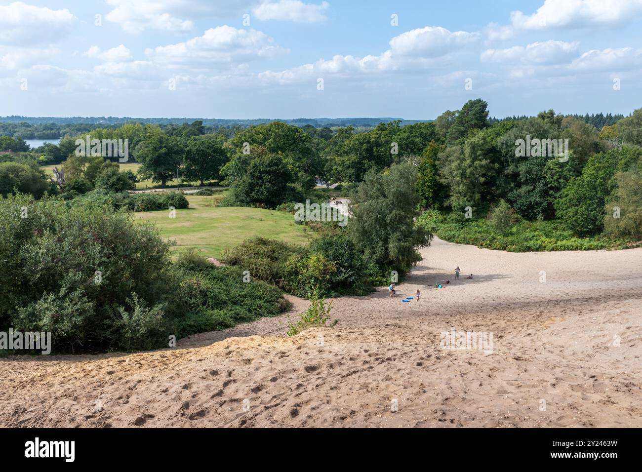 Disused sand pit at Rockford Common in the New Forest, Hampshire ...