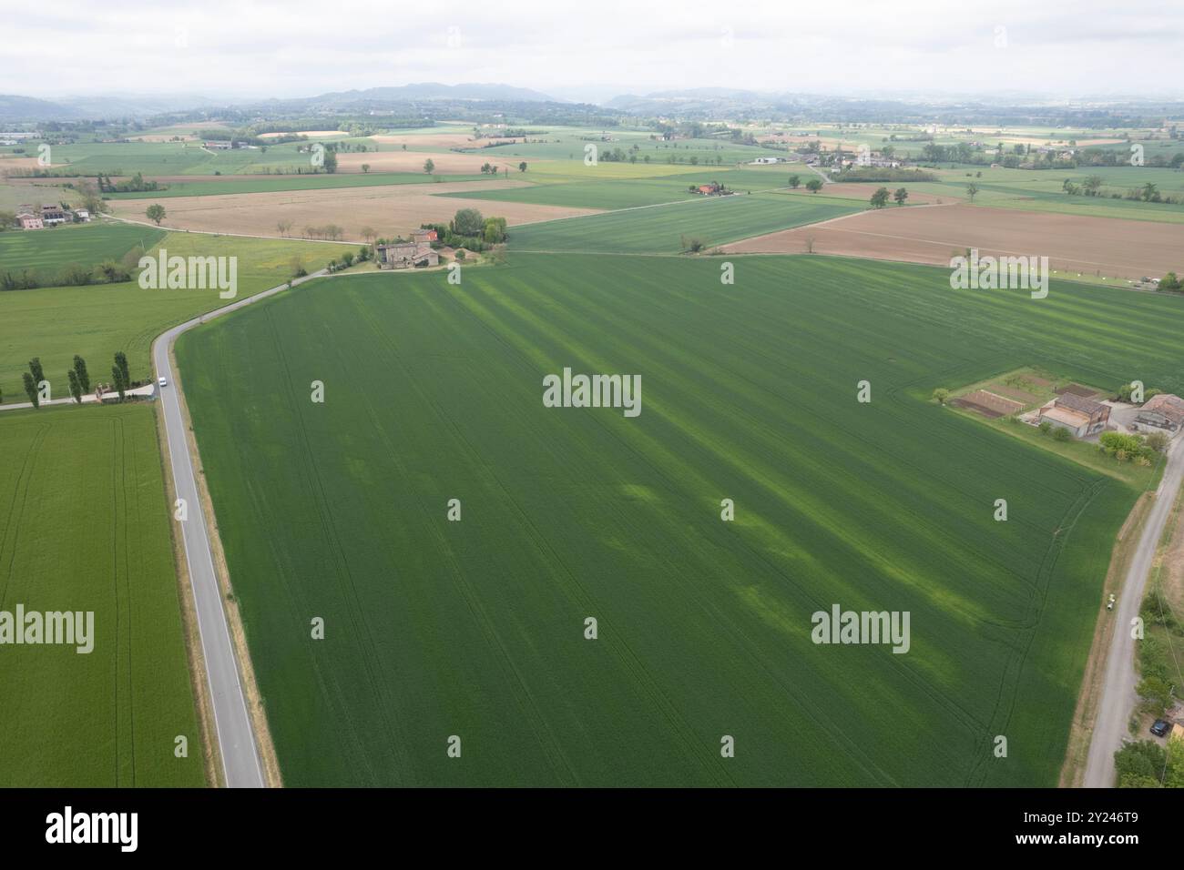 Aerial view of lush green countryside with winding road, farmhouses ...