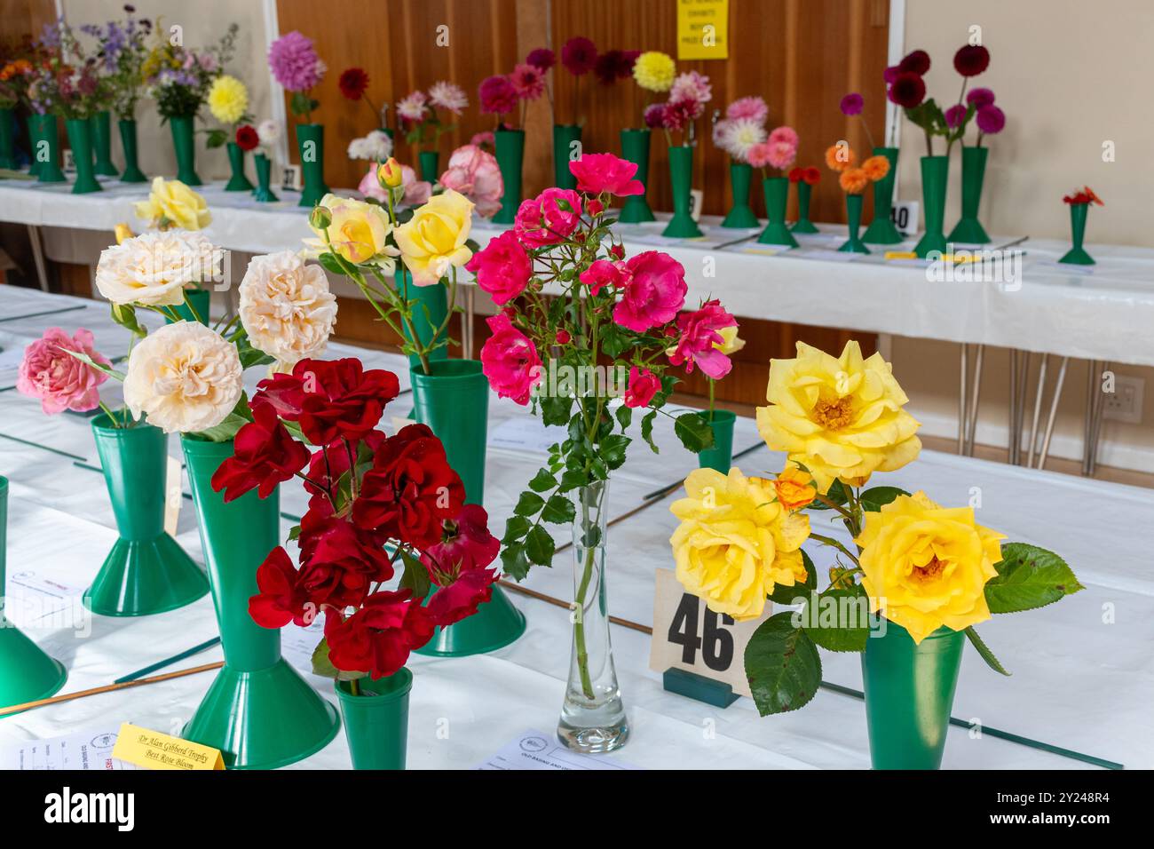 Village show in Old Basing village hall, Hampshire, England, UK, during ...