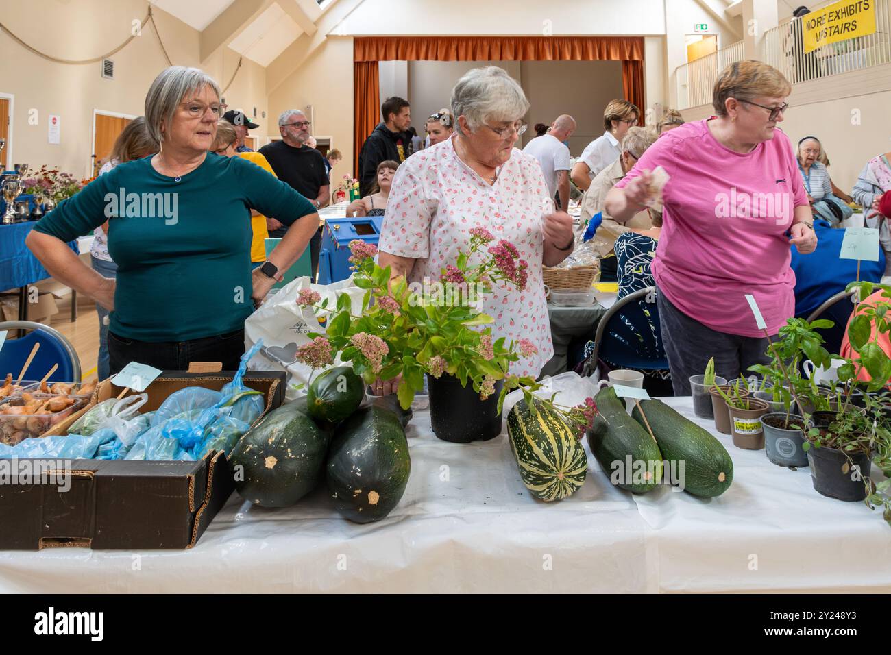 Village show in Old Basing village hall, Hampshire, England, UK, during ...
