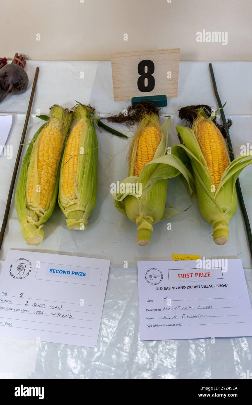 Show corn hi-res stock photography and images - Alamy