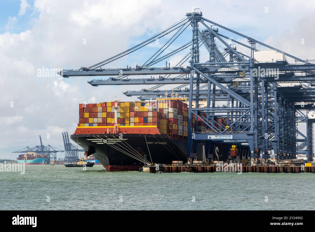 Gantry cranes on quayside MSC Istanbul container ship, Port of ...