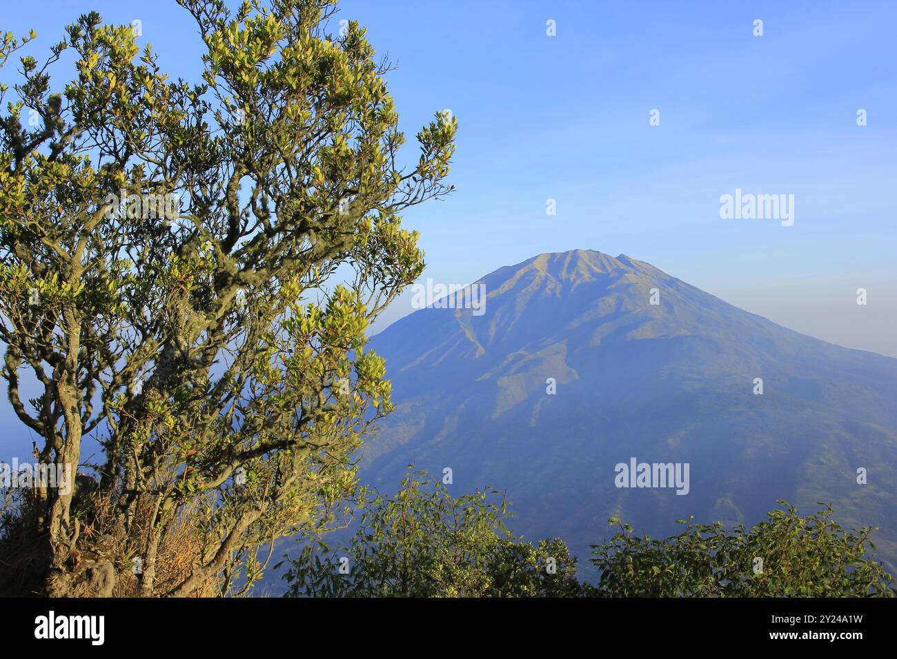 Morning sunny landscape mount hi-res stock photography and images - Alamy