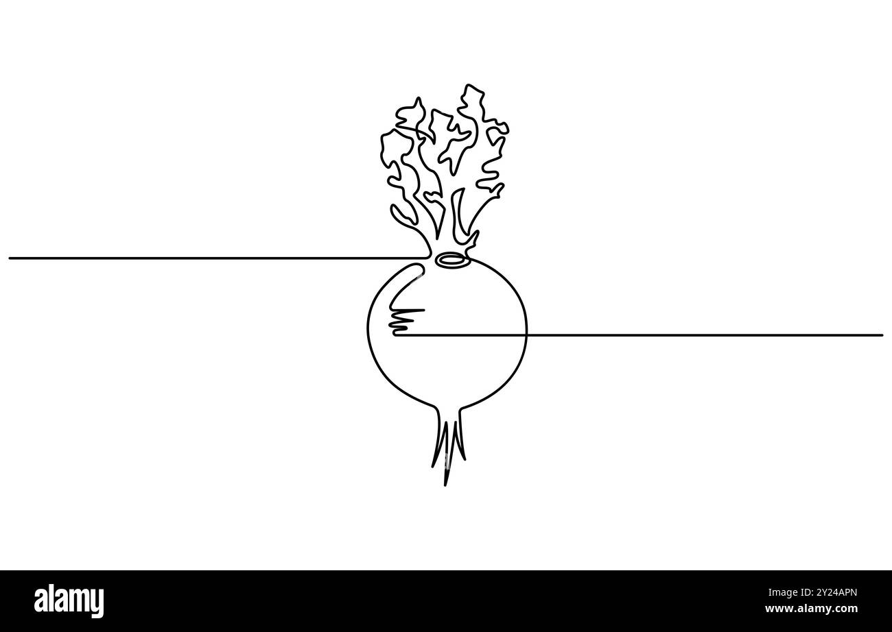 Beetroot in continuous line art drawing Beetroot style. Garden beet ...