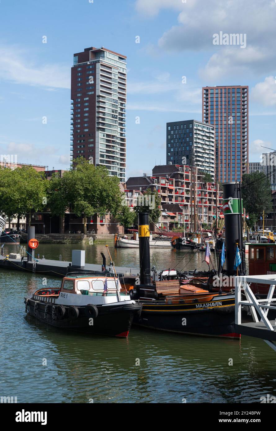 Rotterdam Maritime museum and Leuvehaven, historic ships, boats and ...