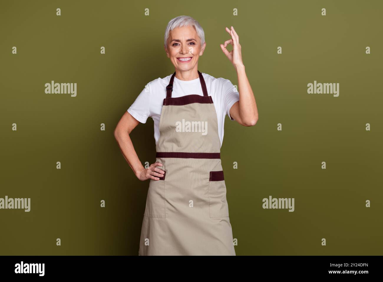 Photo of cheerful pretty lady dressed apron owning cafe showing okey ...