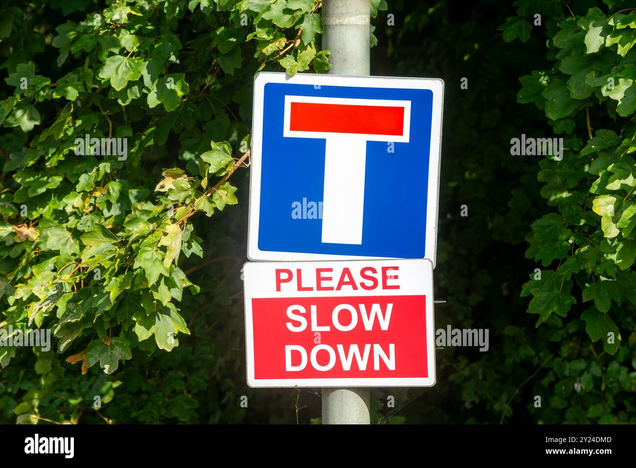 No Through Road Please Slow Down road signs, UK Stock Photo - Alamy