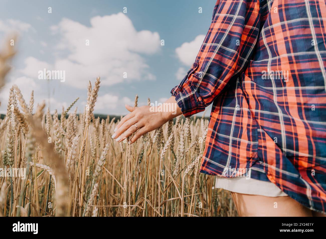 Hand Reaching Through Wheat Field Stock Photo - Alamy