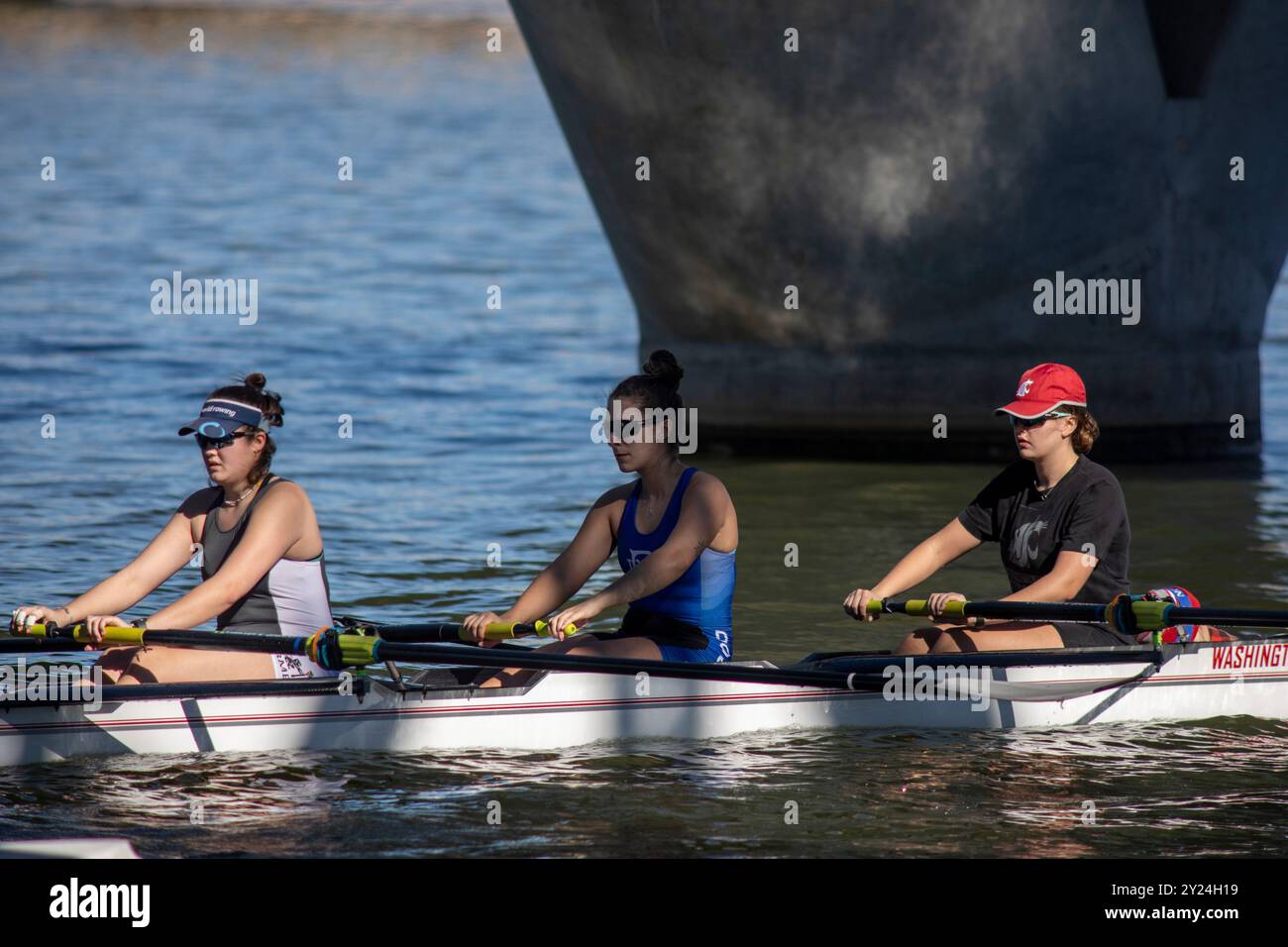 Female rowers skulling in Tempe Town Lake Arizona Stock Photo - Alamy