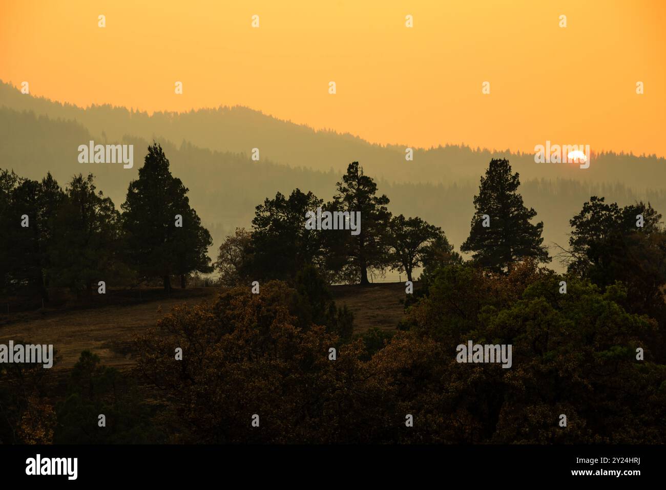Forest fire haze over hi-res stock photography and images - Alamy