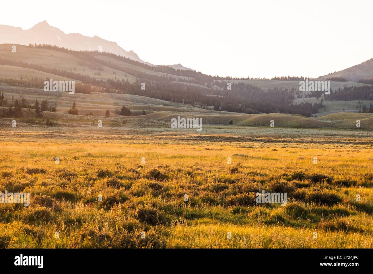 View grassy hills in hi-res stock photography and images - Alamy