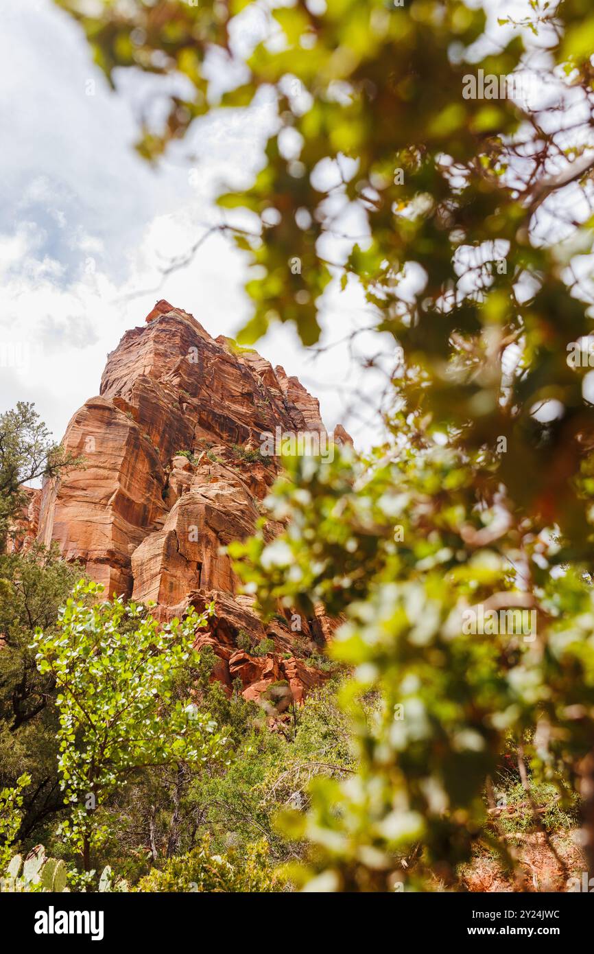 Angels Landing Zion National Park Seen From Below Stock Photo - Alamy