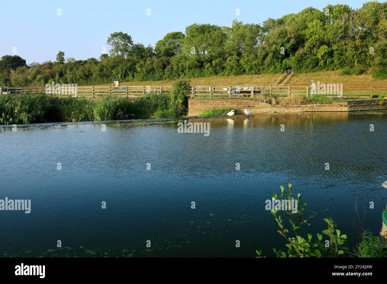 River Avon, Saltford Weir, Saltford near Bath, Somerset Stock Photo - Alamy