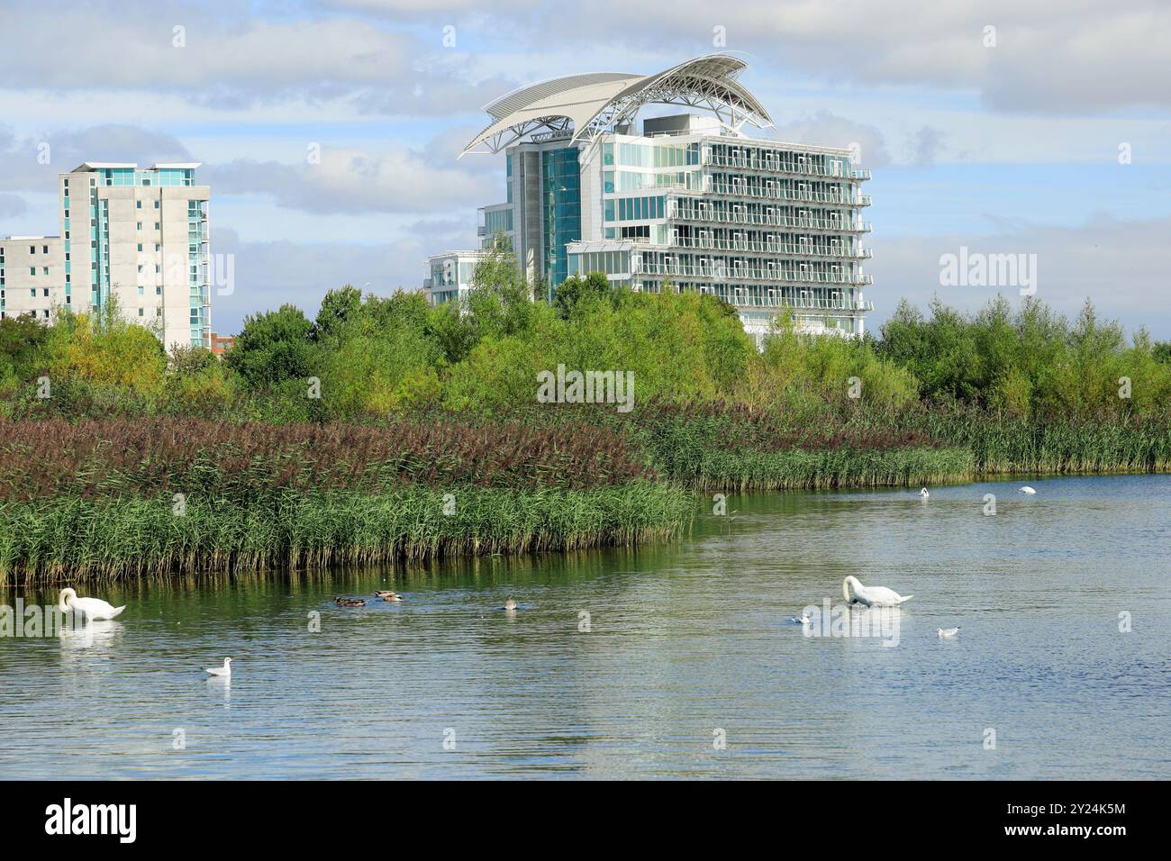 Cardiff bay wetland nature reserve hi-res stock photography and images ...