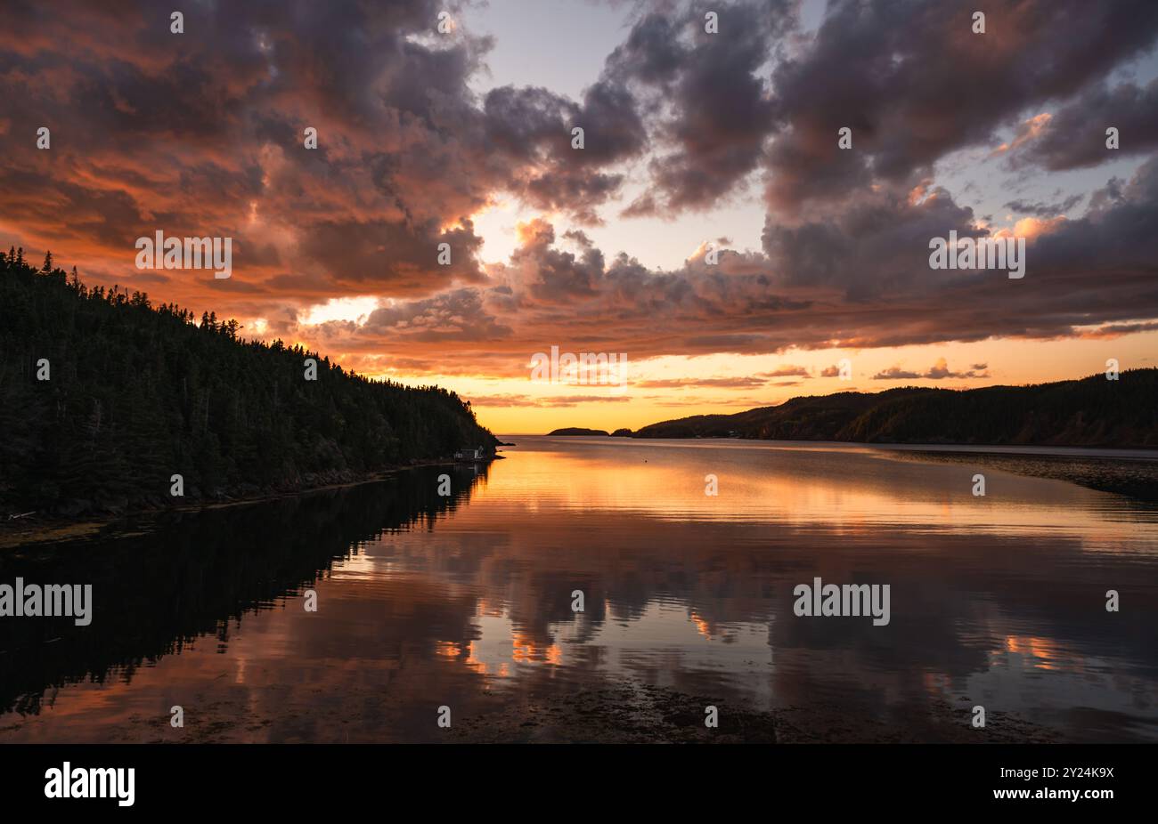 Beautiful sunset tree line coast in Newfoundland, Canada Stock Photo ...