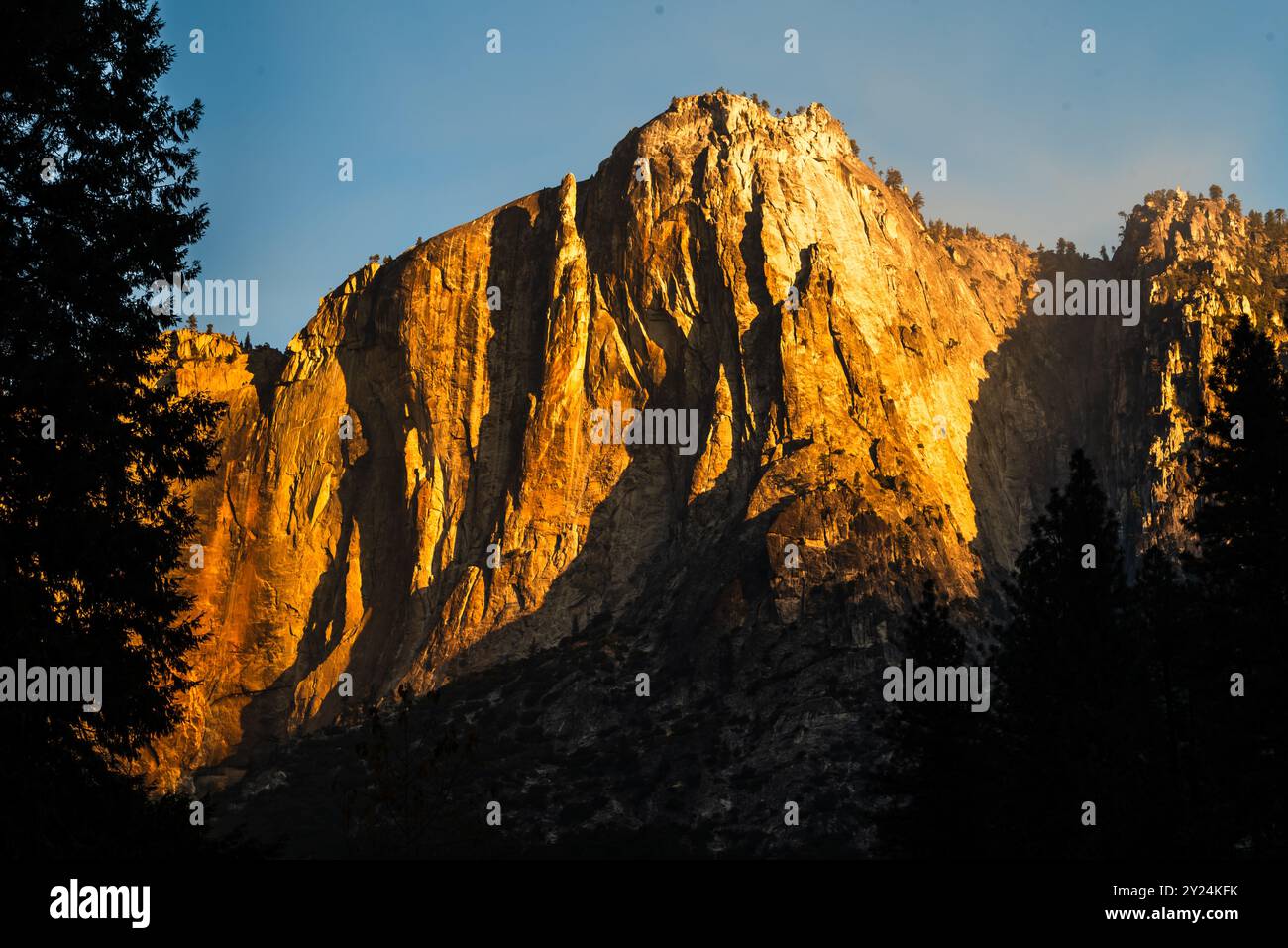 Golden light illuminates a towering rock face in Yosemite Stock Photo ...