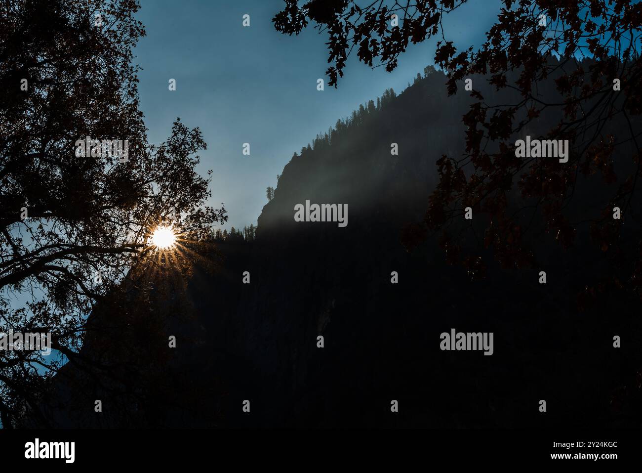 Sunlight filtering through tree branches with mountain in the back ...