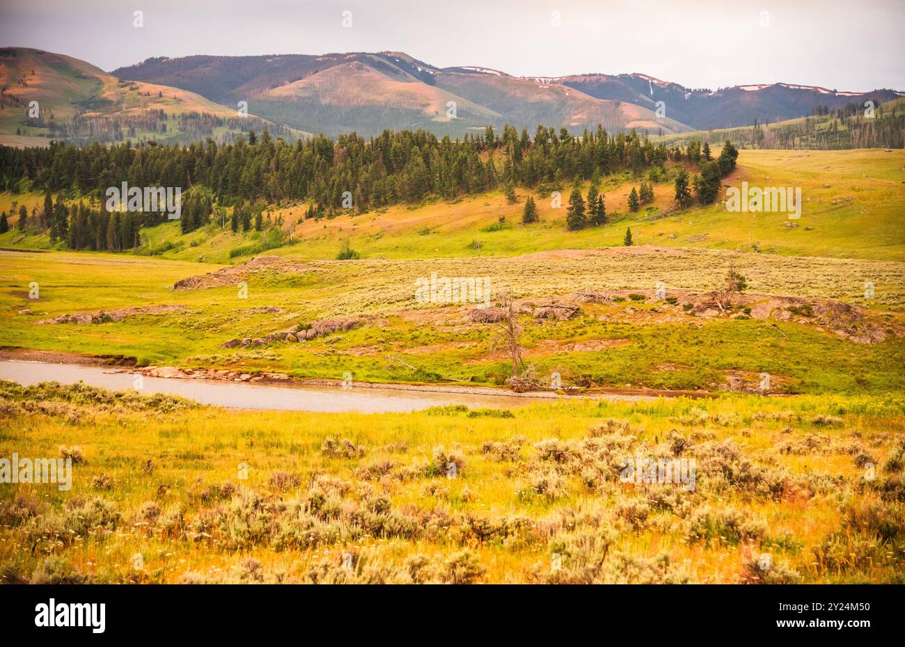 Wide open grasslands rolling hills hi-res stock photography and images ...